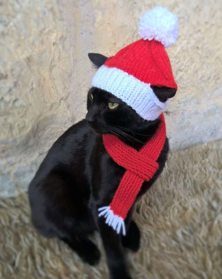 21 Christmas Gifts for Your Fancy Feline - Best Cat Gifts