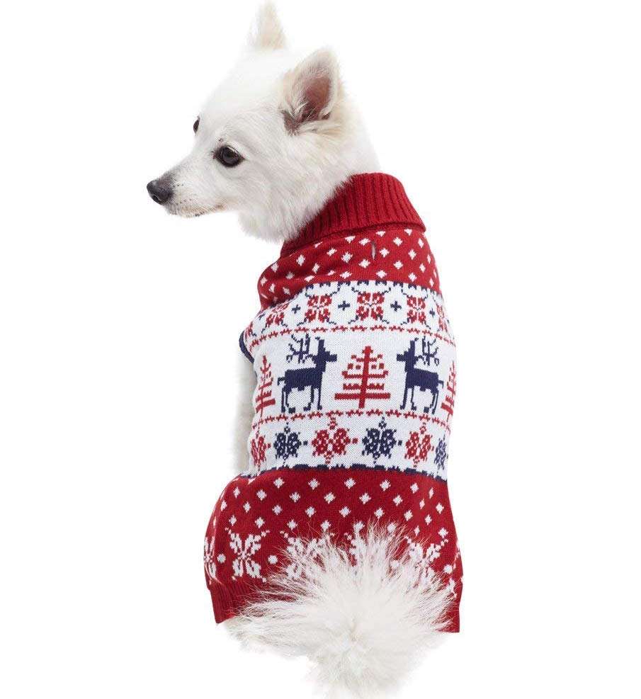 Best Christmas Dog Gifts for Your Fancy Pooch