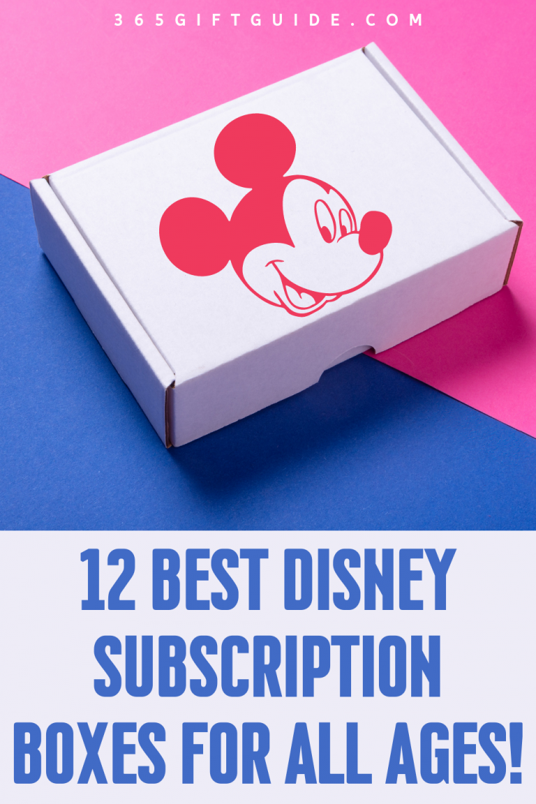 What is the Best Disney Subscription Box?