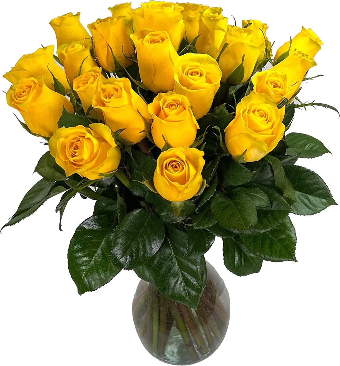 Flowers That Symbolize Friendship on International Friendship Day