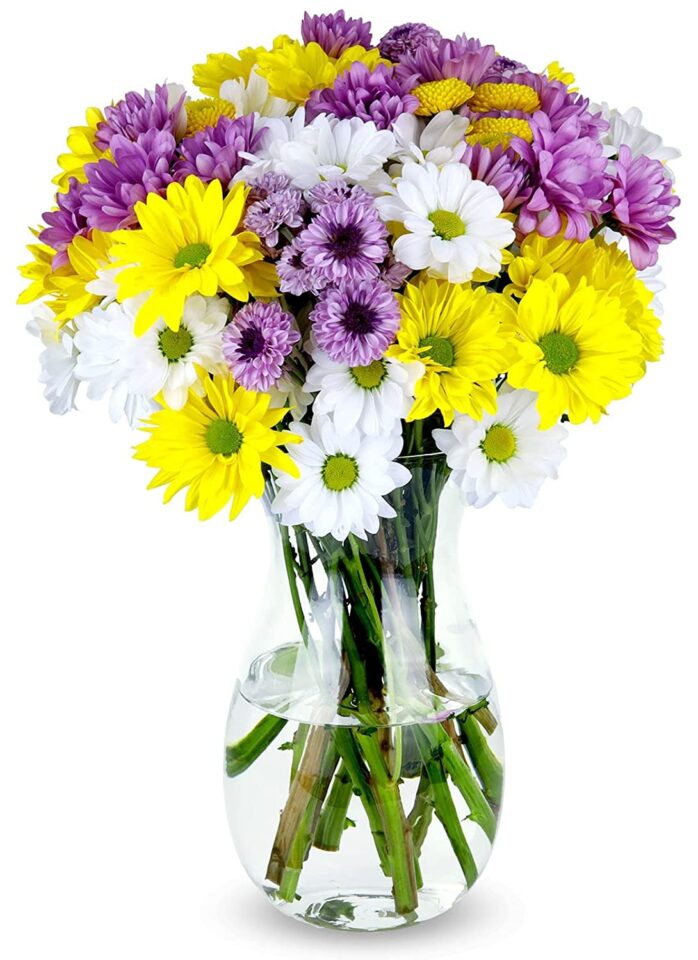 Flowers That Symbolize Friendship on International Friendship Day