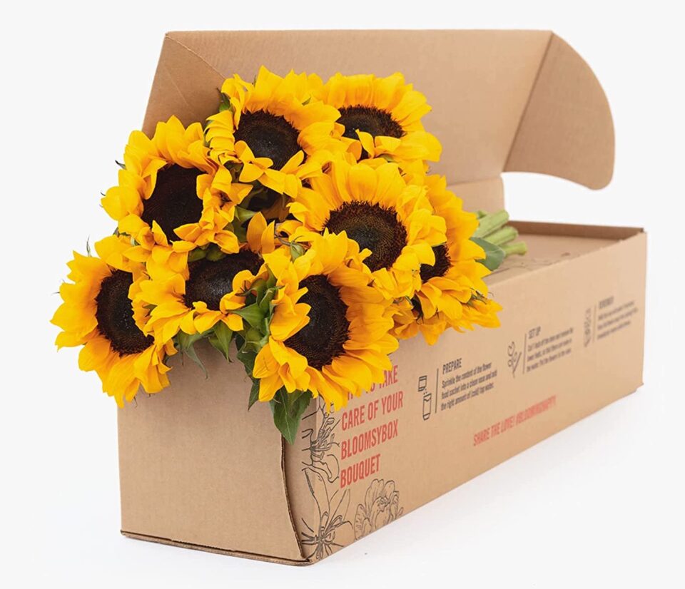 Flowers That Symbolize Friendship on International Friendship Day