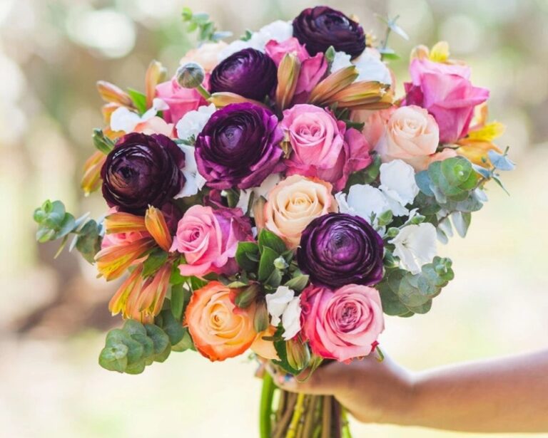 Flowers That Symbolize Friendship on International Friendship Day