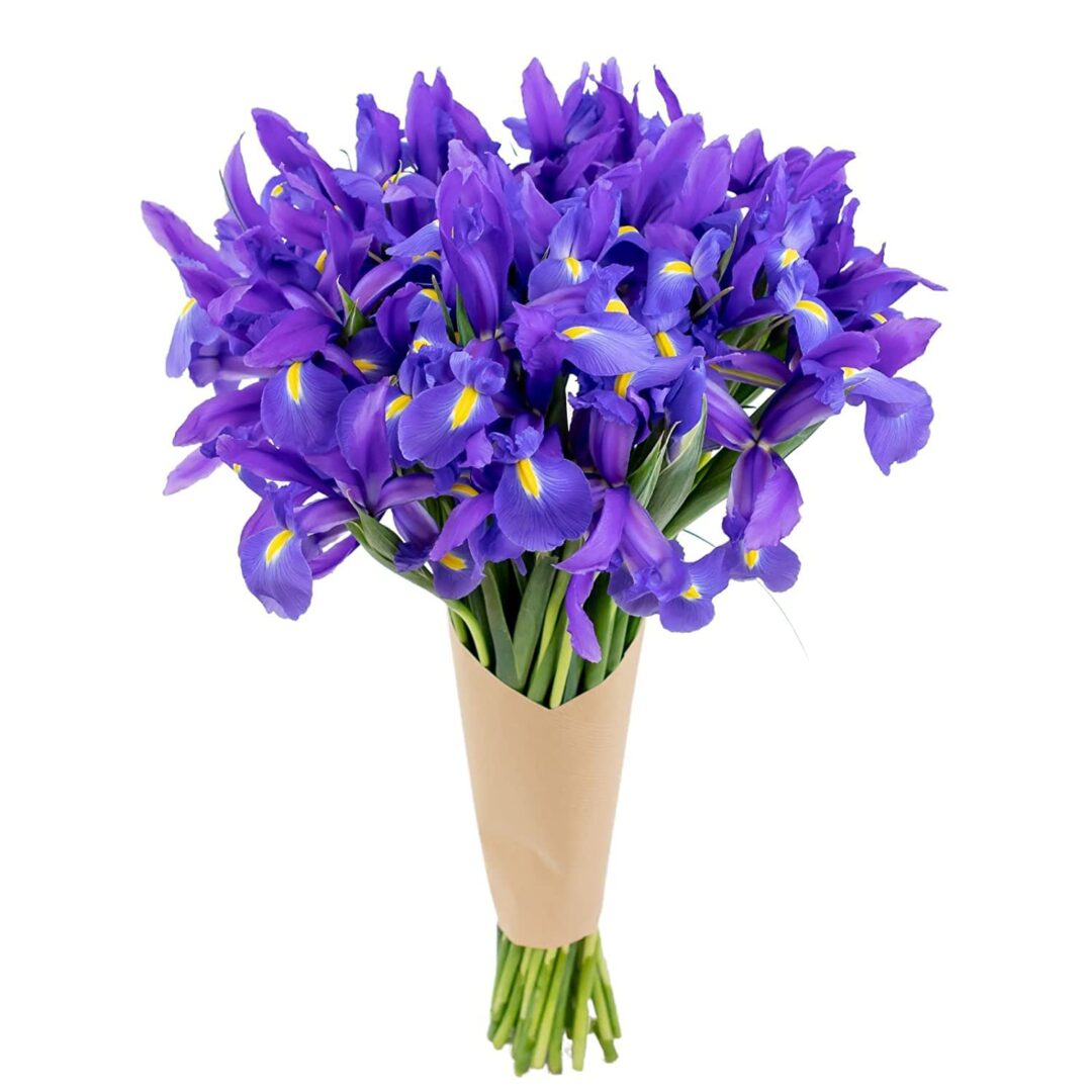 Flowers That Symbolize Friendship on International Friendship Day