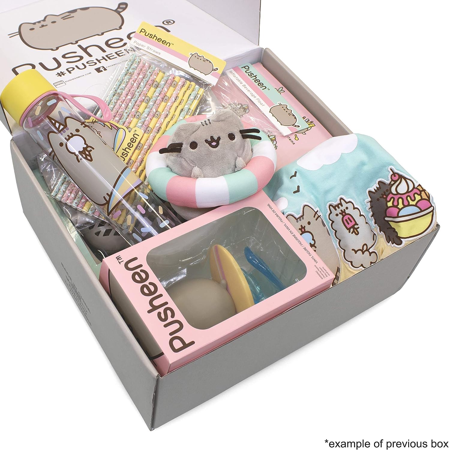 Ultimate Pusheen Box
